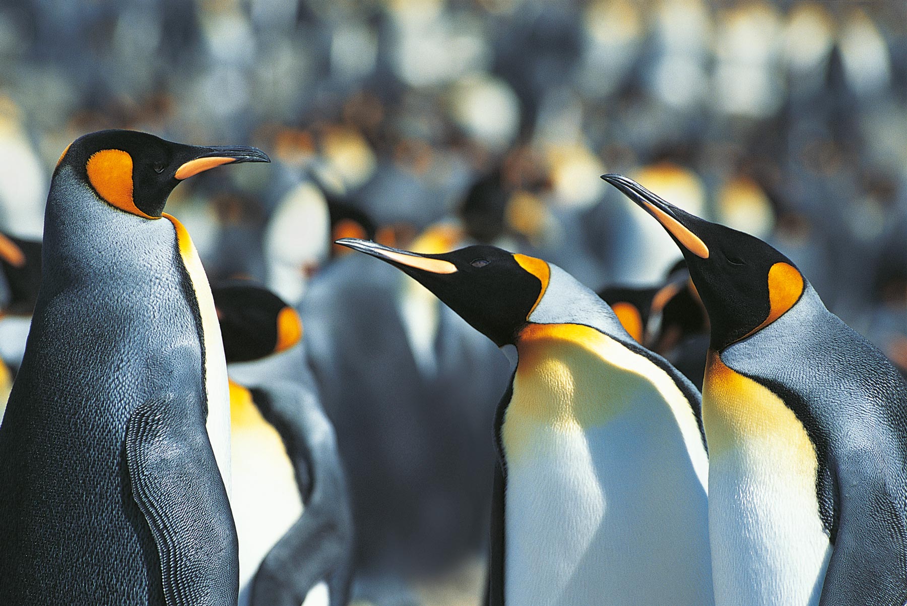 Kontakt | Lecking Werbeagentur